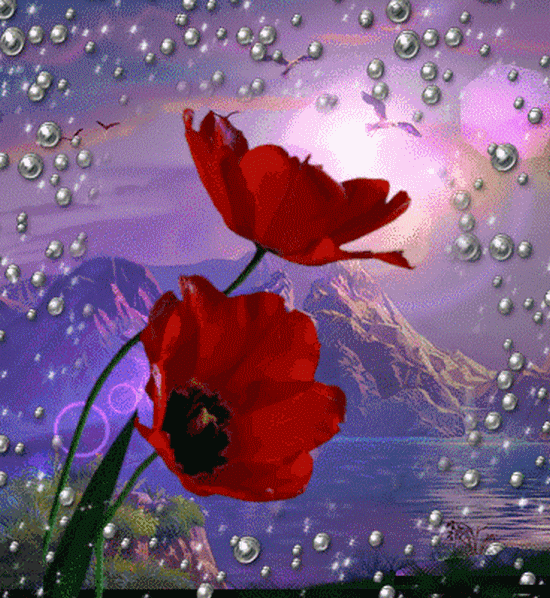 Quand les fleurs dansent...3 Quand les fleurs dansent...3